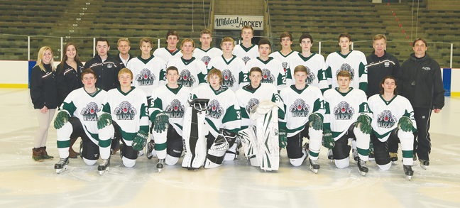 Alpena hockey team hoping to build upon strong start to season | News ...
